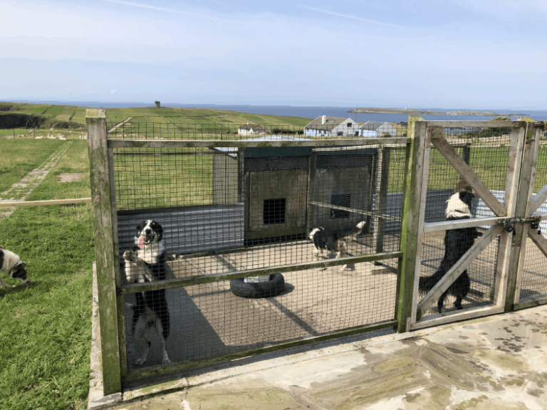 Slieve League Cliffs And Malin Beg: An Epic One Day Itinerary