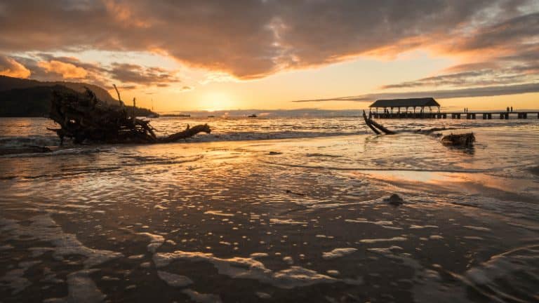50 Best Beaches For Warm Winter Vacations In USA (2026)