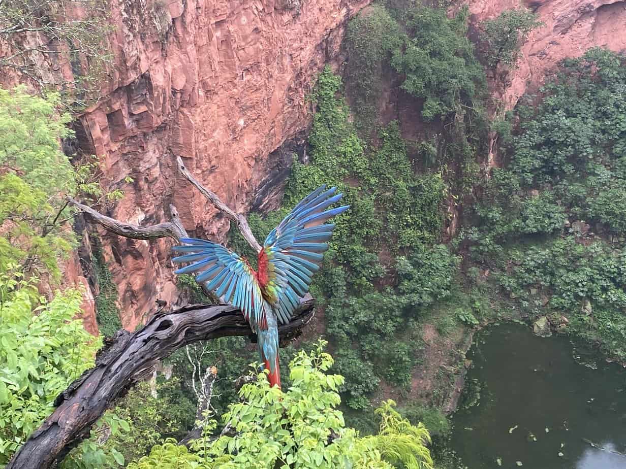 Best Things To Do In Bonito In Brazil